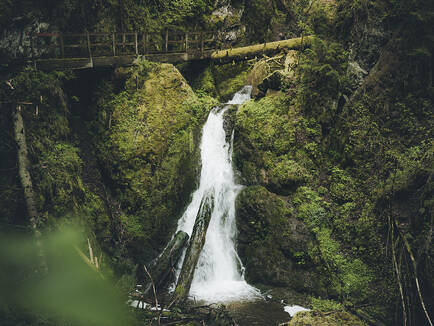 汉斯格雅 花洒管: 沛适飞 S, 单种出水模式, 货号 26971007