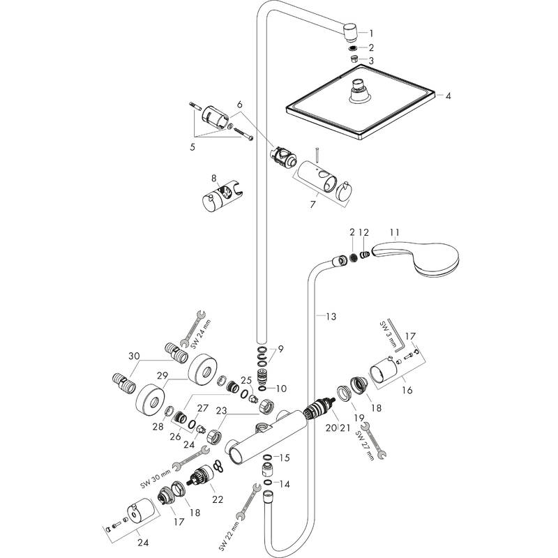 汉斯格雅 花洒管: 柯洛梅达 E, 单种出水模式, 货号 26779007